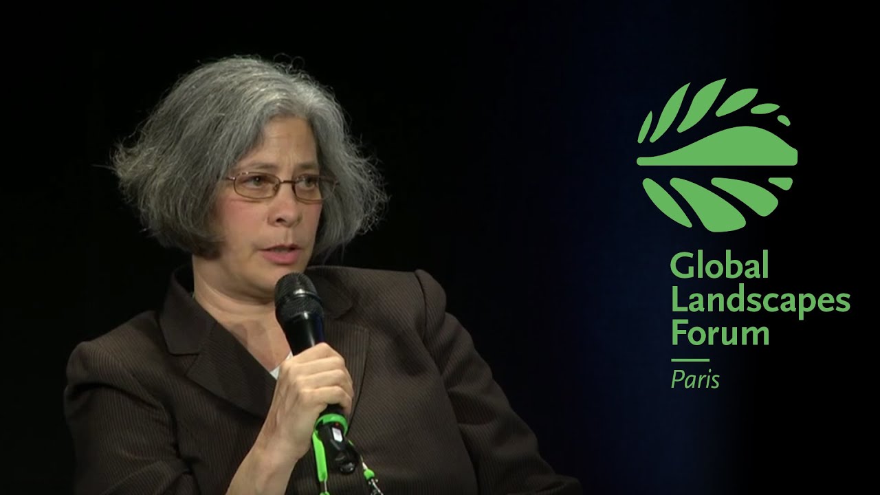 Robin Chazdon Keynote: Science-policy exchange GLF 2015 - YouTube