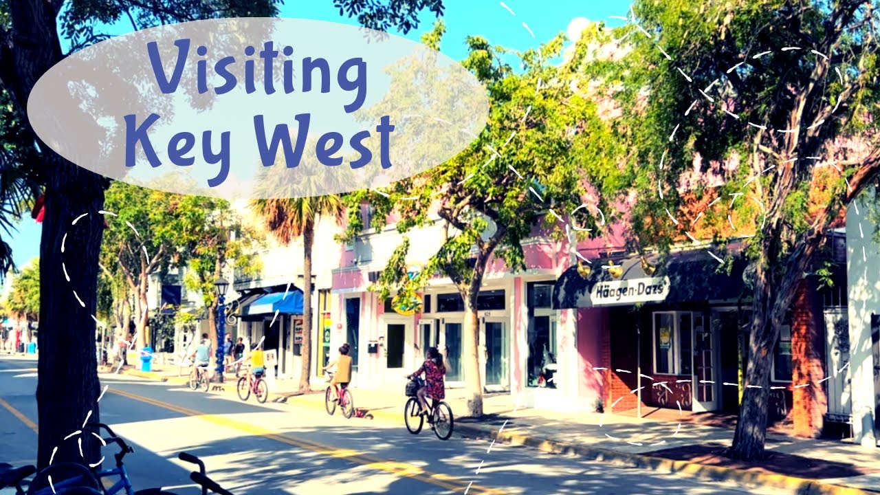 Key West Cruise Port Guide Shore Excursion Dolphins Snorkeling Drinks ...