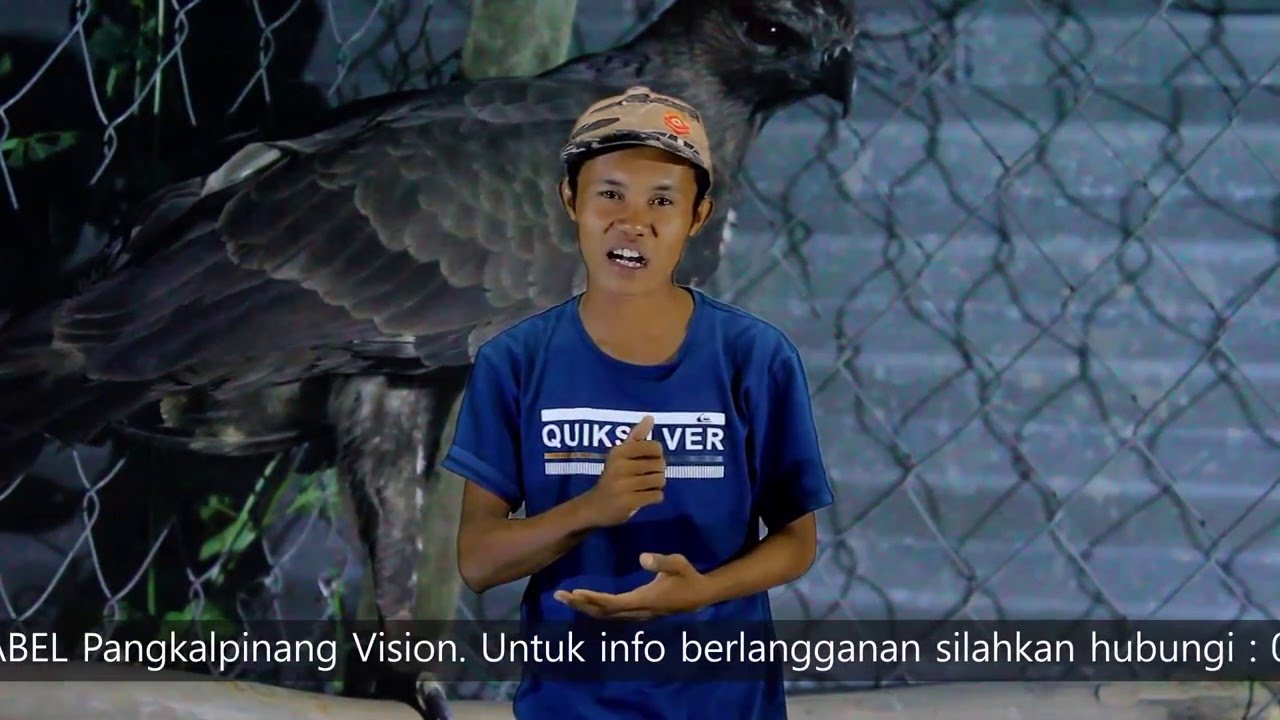 Siluman Manusia Elang dari Perlang AOKAPEDAK - YouTube
