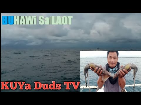 Ep|11/ Catch And Sell Squid Or Kalawang Na Pusit - YouTube