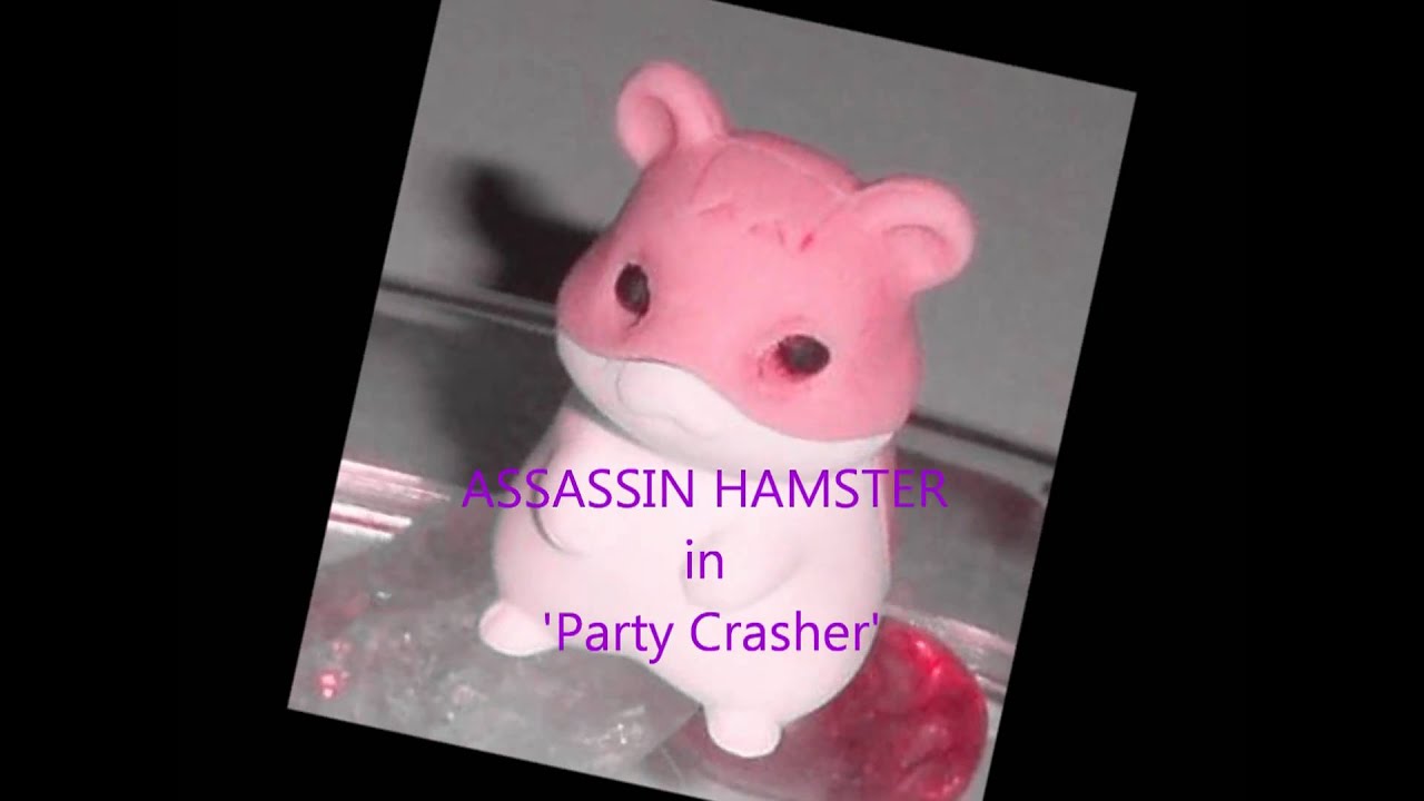 Assassin Hamster-Party Crasher.wmv - YouTube