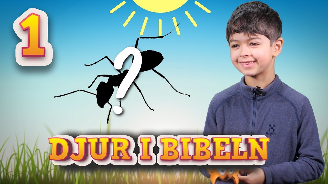 Myror - Djur i Bibeln | Avsnitt 1 | Barnprogram på svenska! 📖🐜 - YouTube