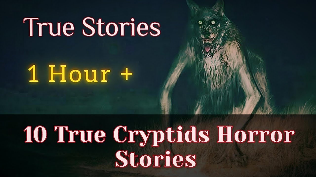 10 Real Cryptids Encounter Stories To Fall Asleep To - YouTube