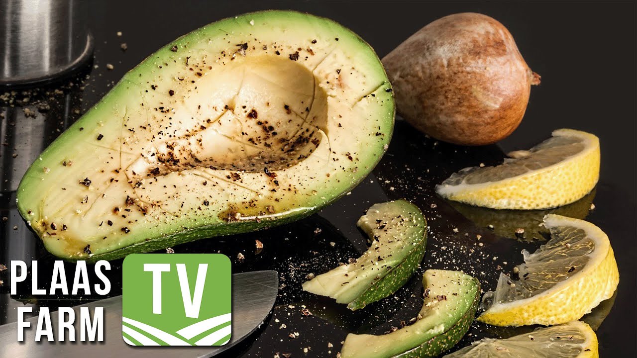 June is World Avocado Month - YouTube