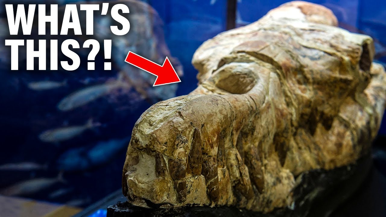 What they Captured in Peru STUNNED Scientists - YouTube