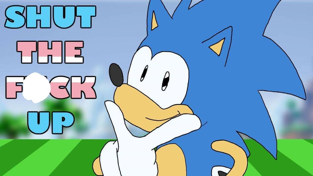 sonic says trans rights - YouTube
