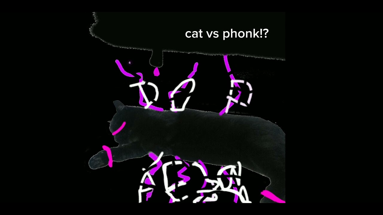 cat vs phonk!? - YouTube