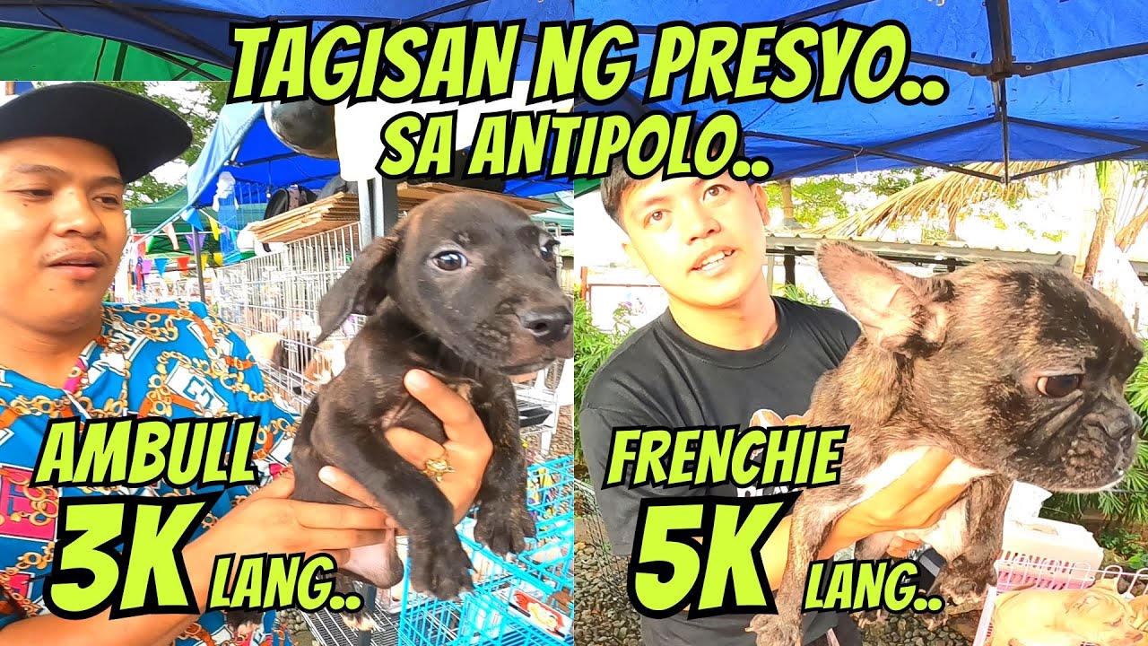 GRABE HALOS PAMIGAY ANG PRESYO NITO.. - YouTube