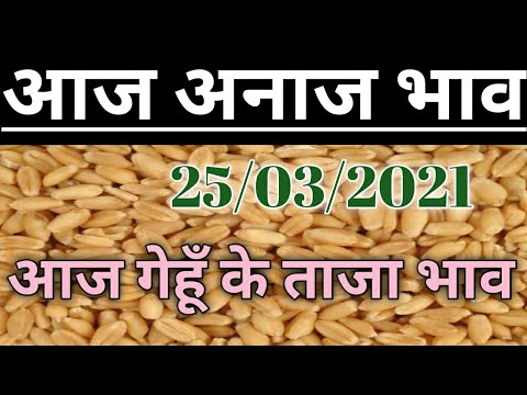 aaj anaj ka bhav|| anaj bhav|| gehu ka bhav aaj|| aaj gehu ke taja bhav ...