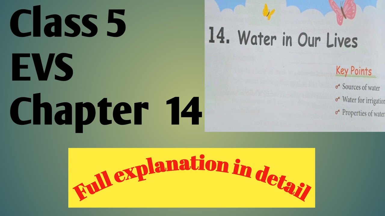 chapter 14 Water in Our Lives EVS Class 5 - YouTube