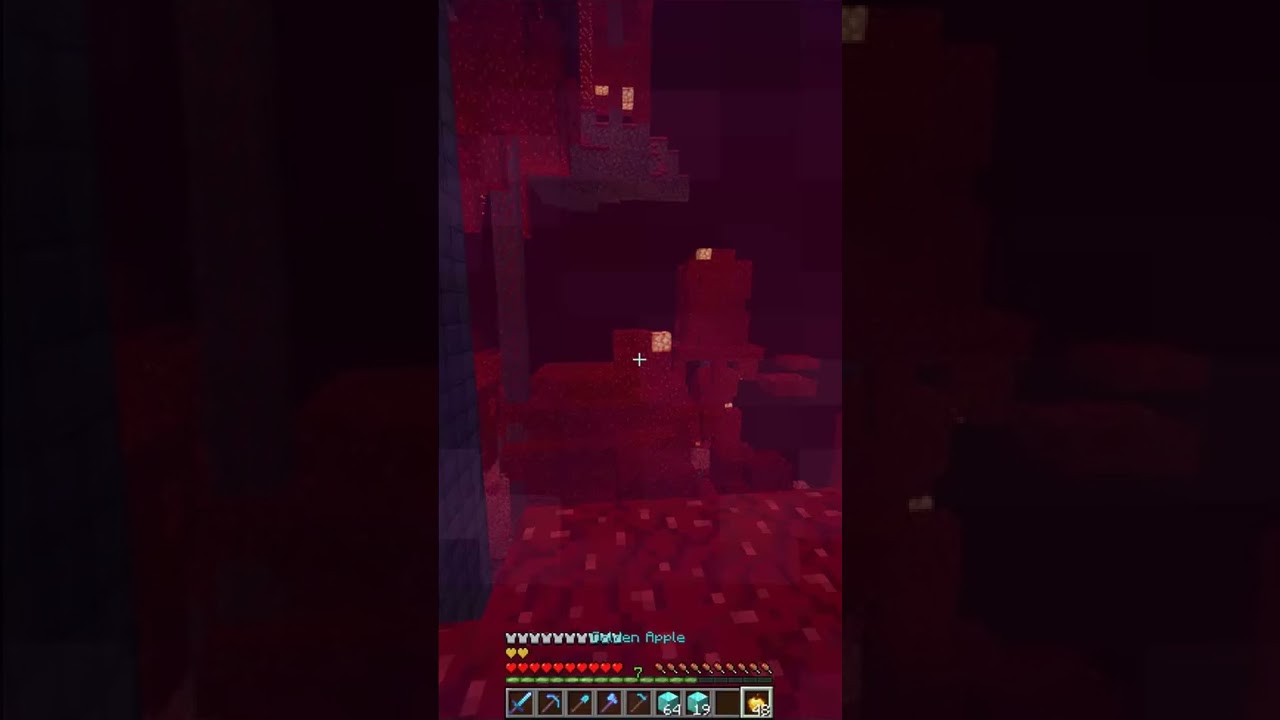 This Player finds Netherite as Food - Go IT