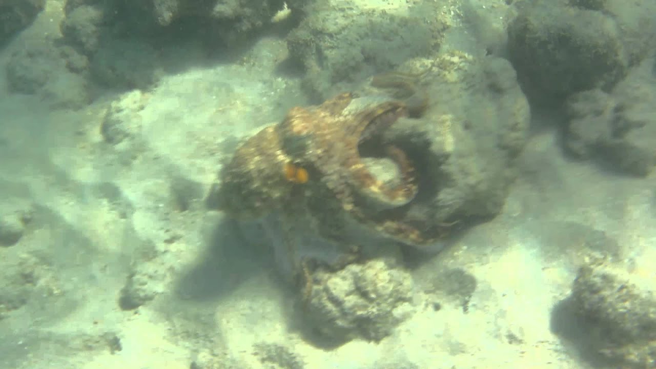 Ex 23 2 YouTube ex-23-2-youtube