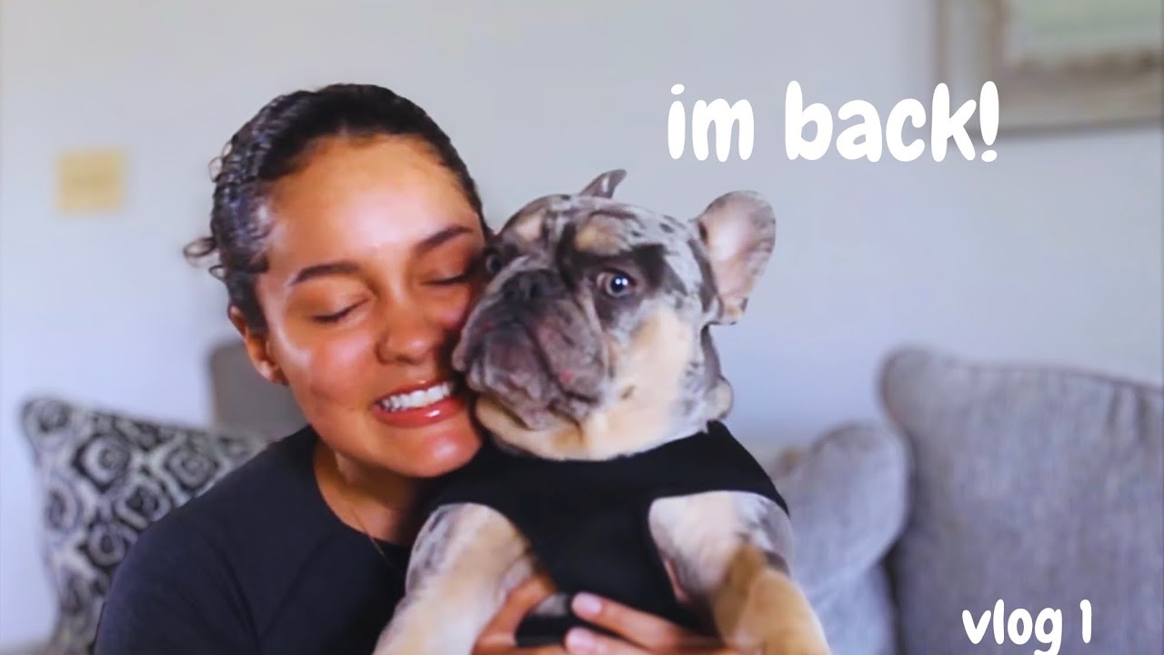 day in my life! ( CVS haul, life update) * im back? * - YouTube