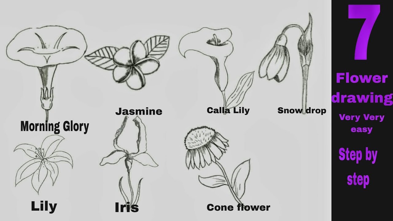 How to draw flower flower (Very easy)// 7 flower pencil drawing easy ...