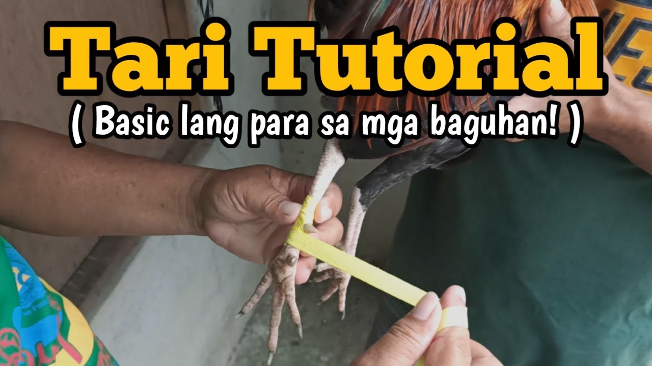 Tari tutorial - YouTube