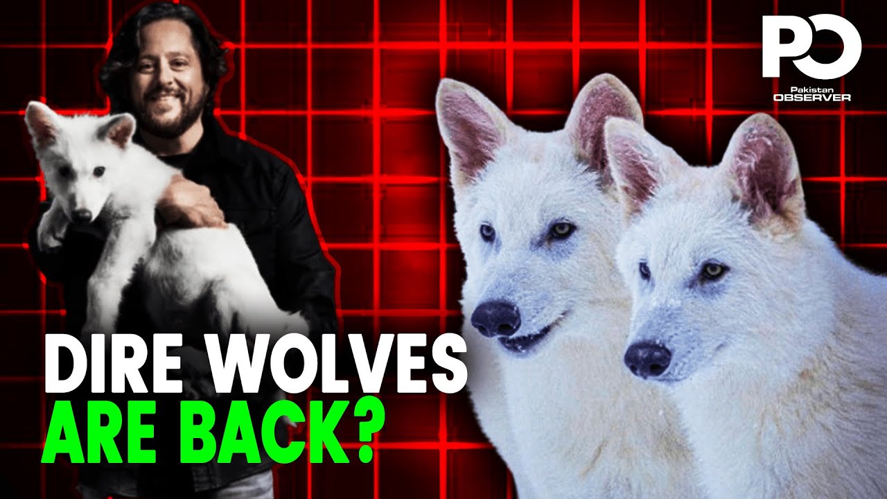 Dire Wolves Reborn: CRISPR Brings Extinct Beasts Back to Life ...