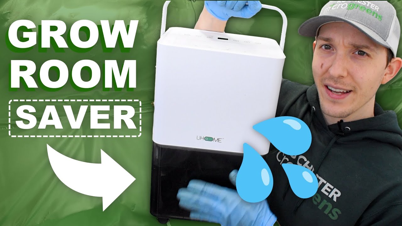 5 Essential Water Tips For Growing Inside - YouTube