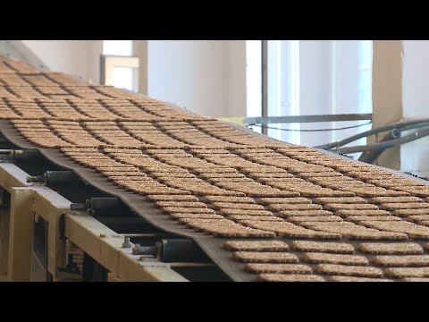 Колхоз Новоалександровского округа кормит край