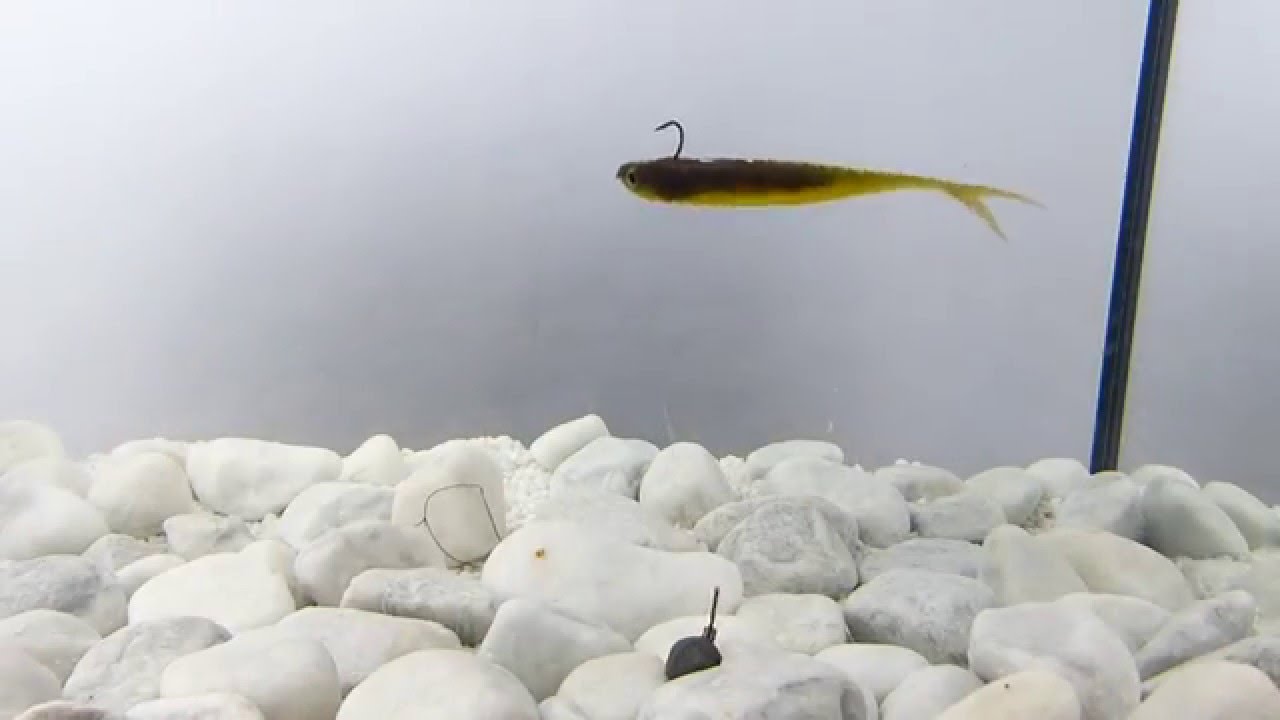 Fish Arrow Flash J Split 3" - YouTube