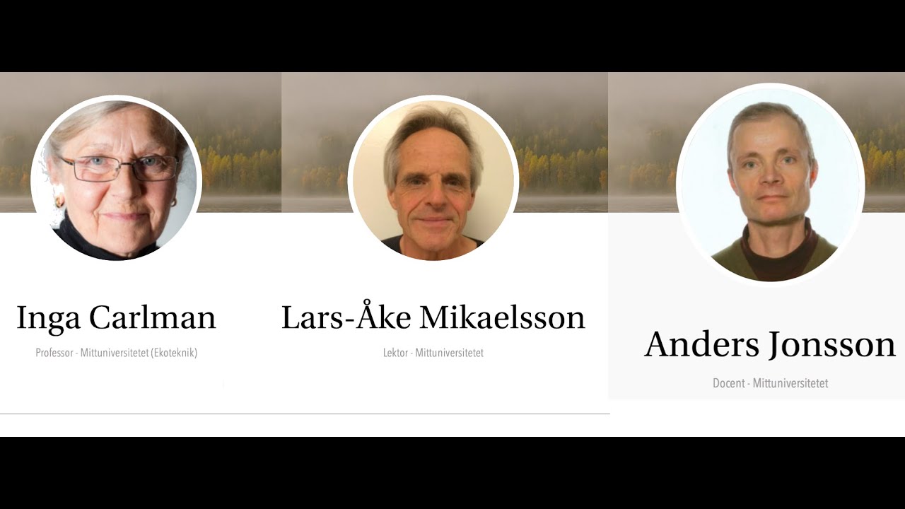 Inga Carlman, Lars-Åke Mikaelsson & Anders Jonsson - YouTube