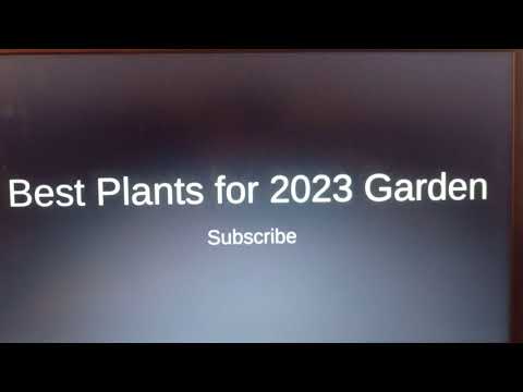 Best Plants to Grow in 2023 #shorts