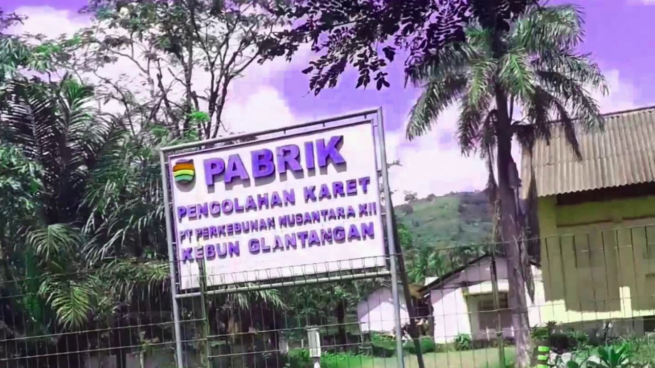 TUGAS VIDEOGRAFI SEJARAH - FILM DOKUMENTER "SEJARAH PTPN XII GLANTANGAN ...