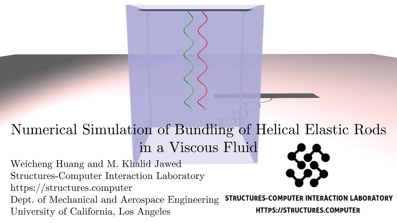 Numerical Simulation of Bundling of Helical Elastic Rods in a Viscous Fluid - YouTube