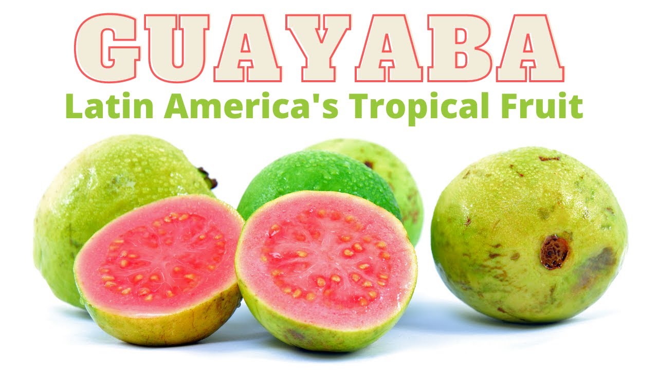 Guayaba ,Latin America's Tropical Fruit - YouTube