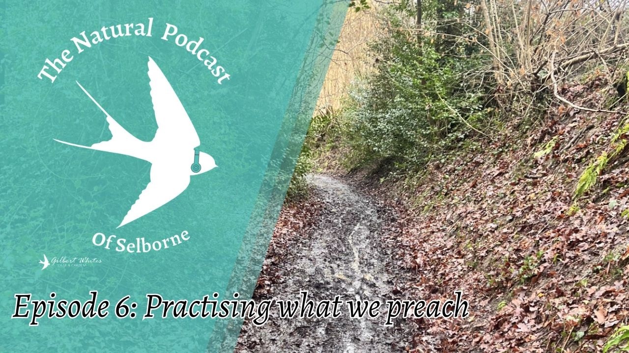 The Natural Podcast of Selborne: Episode 6: Practicing what we preach ...