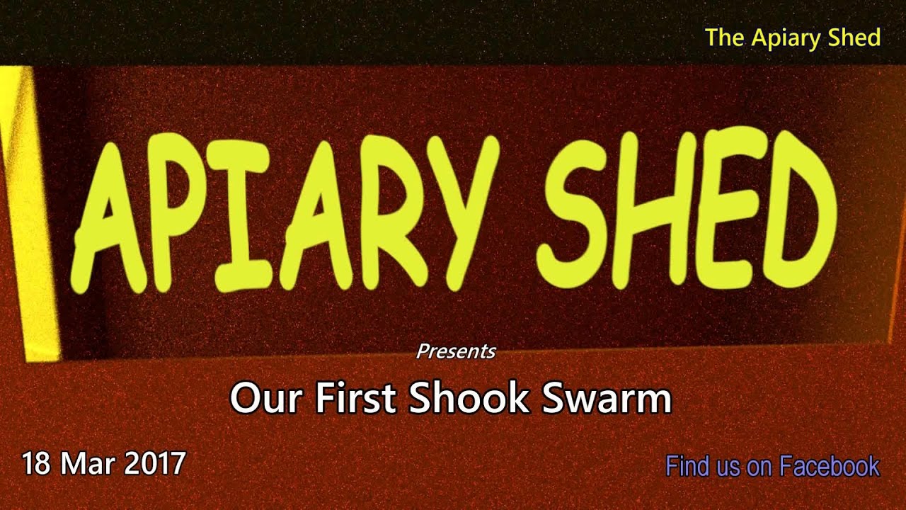 Our first Shook Swarm of 2017 - YouTube