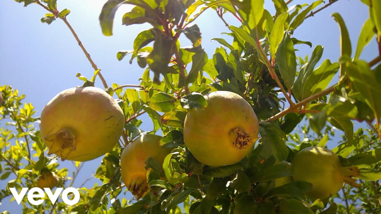 Mixed up Mary - Ljetna (Official Video) - YouTube