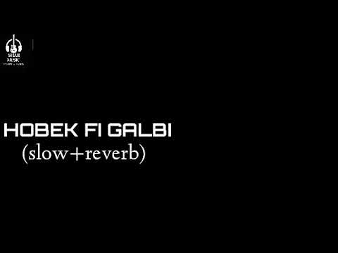 Hobek Fi galbi|new Arabic remix song|new song Fi galbi|Arabic song