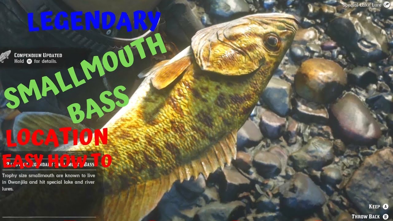 Legendary SMALLMOUTH BASS Location & Easy How to - YouTube