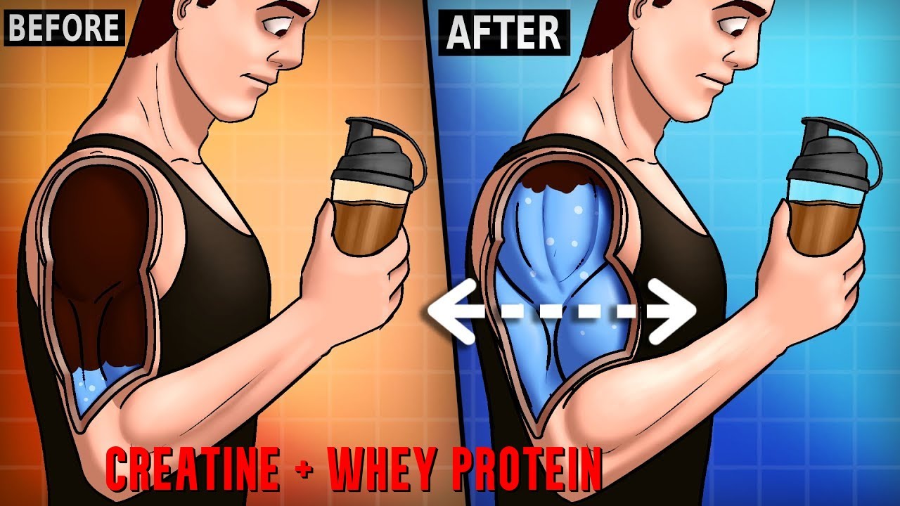 What If You Take Creatine + Whey Protein for 30 days - YouTube