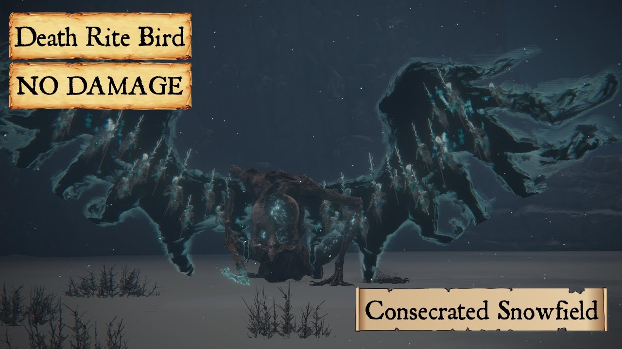 Elden Ring #253 - Death Rite Bird (Consecrated Snowfield) [No Damage ...