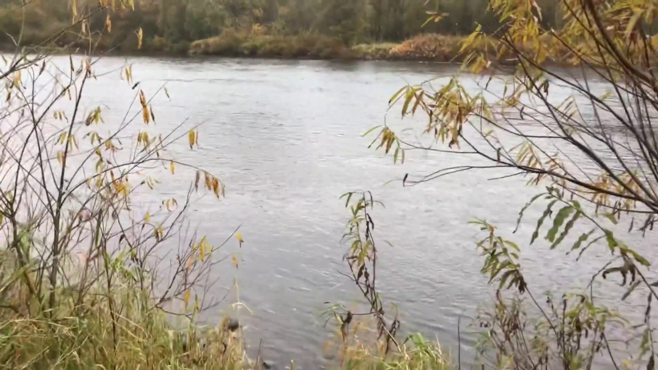Teshio river Hokkaido 天塩川 / slowfishing - YouTube