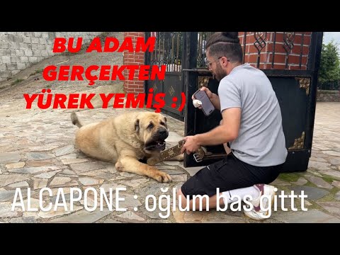 İNANILMAZ GERGİN DAKİKALAR ALCAPON VS SONER