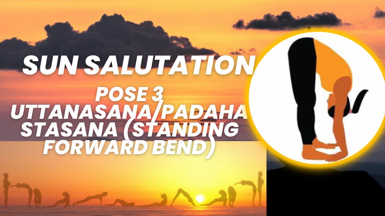 Sun Salutation Pose 3 Uttanasana/Padahastasana (Standing Forward Bend ...