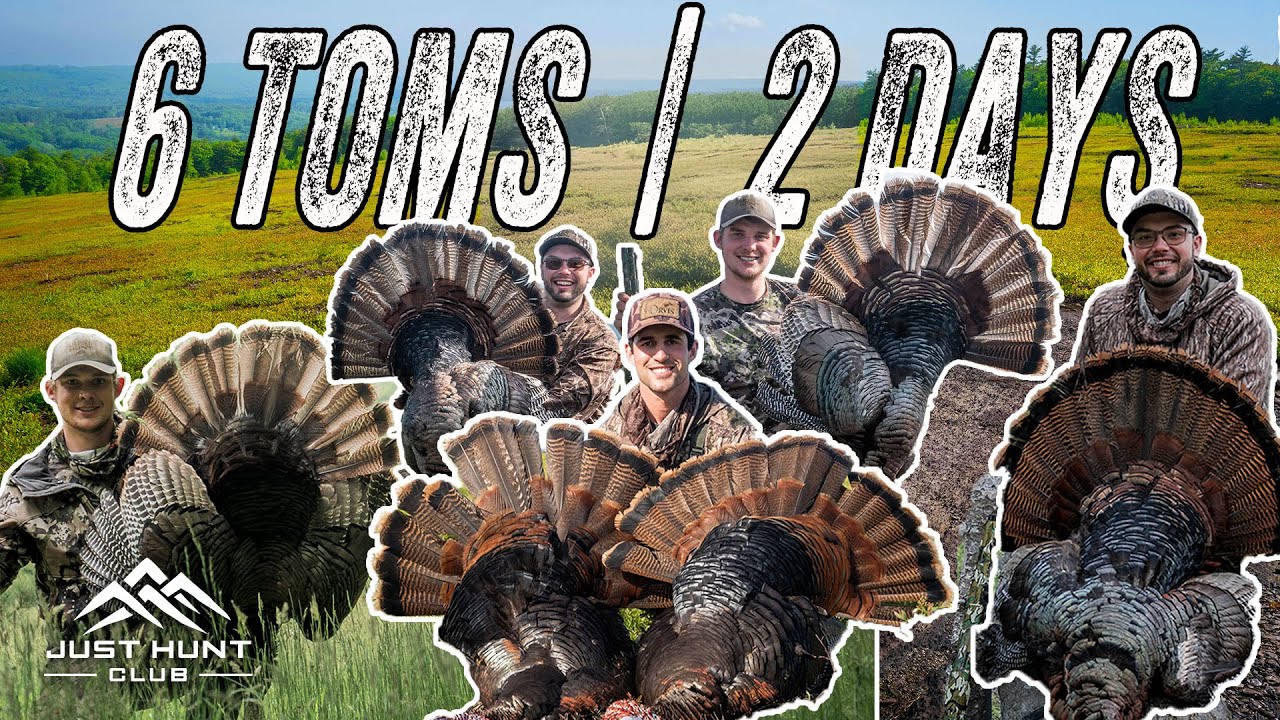 INSANE Turkey Hunting Action (6 Gobblers in 2 Days) - YouTube