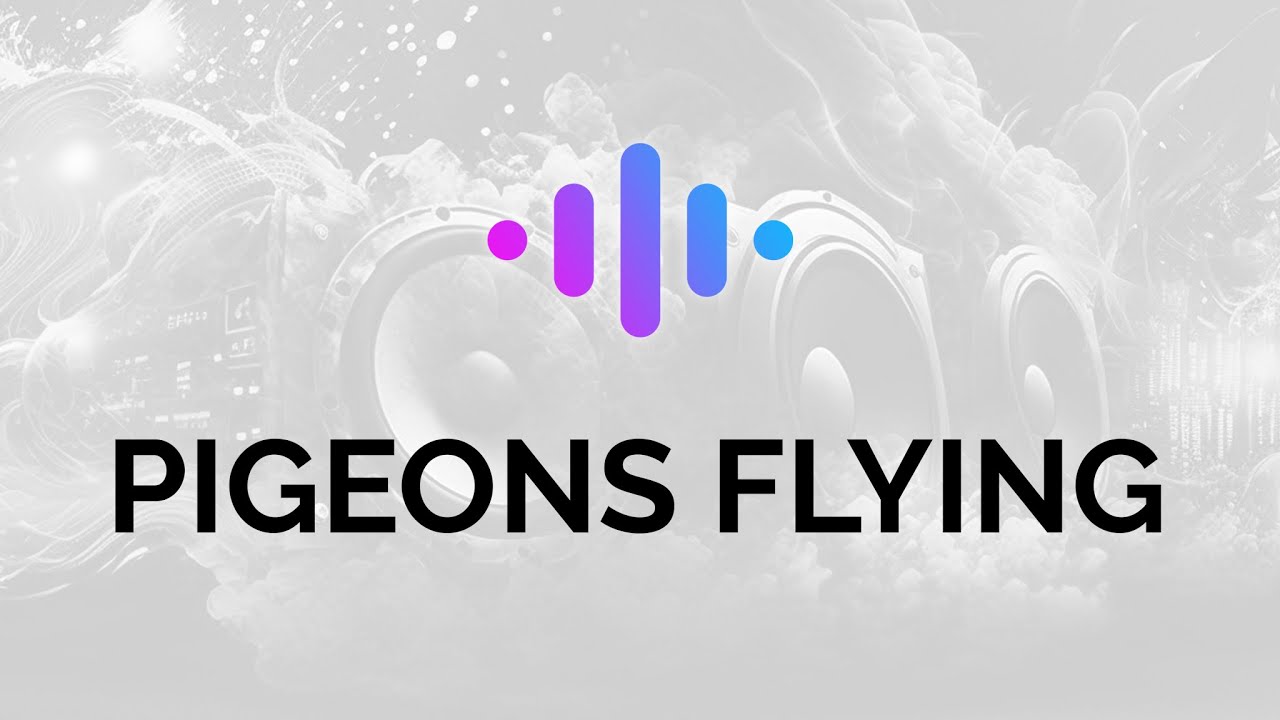 Pigeons flying Sound Effect | Royalty free | Video/Audio editing ...