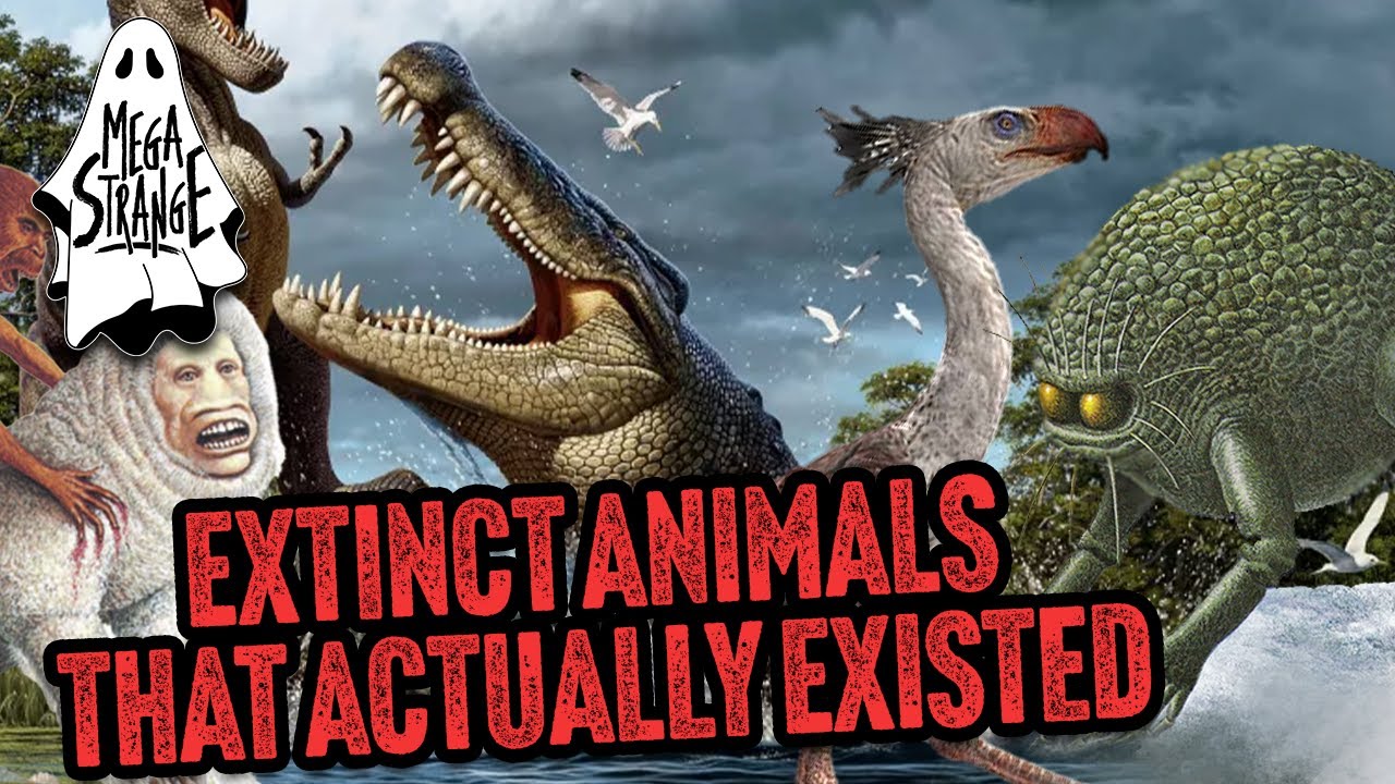Unbelievable Creatures That Actually Existed! - Mega Strange #41 - YouTube