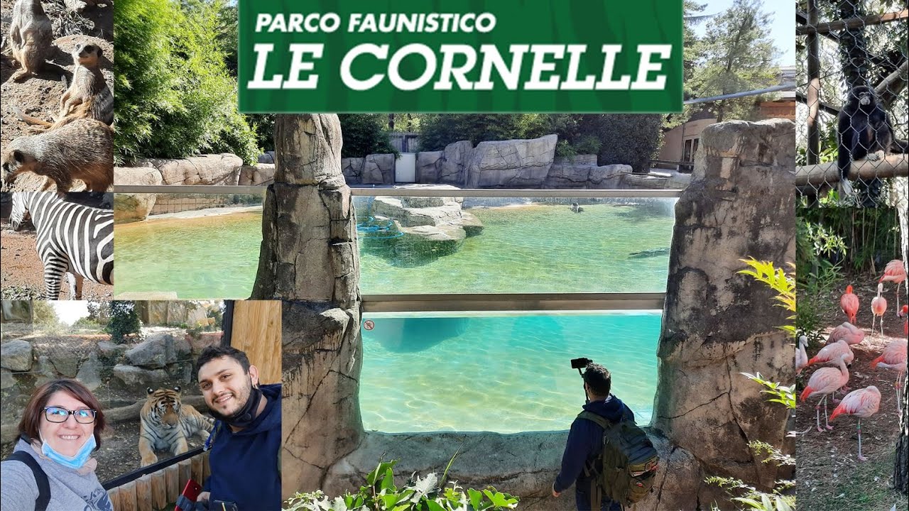 PARCO DELLE CORNELLE | Ritornare bambini, habitat e animali ...