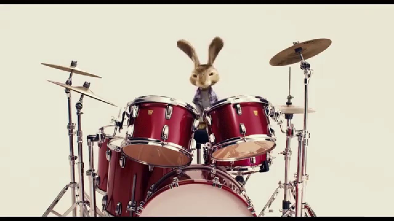 Bunny Playing Drums - YouTube