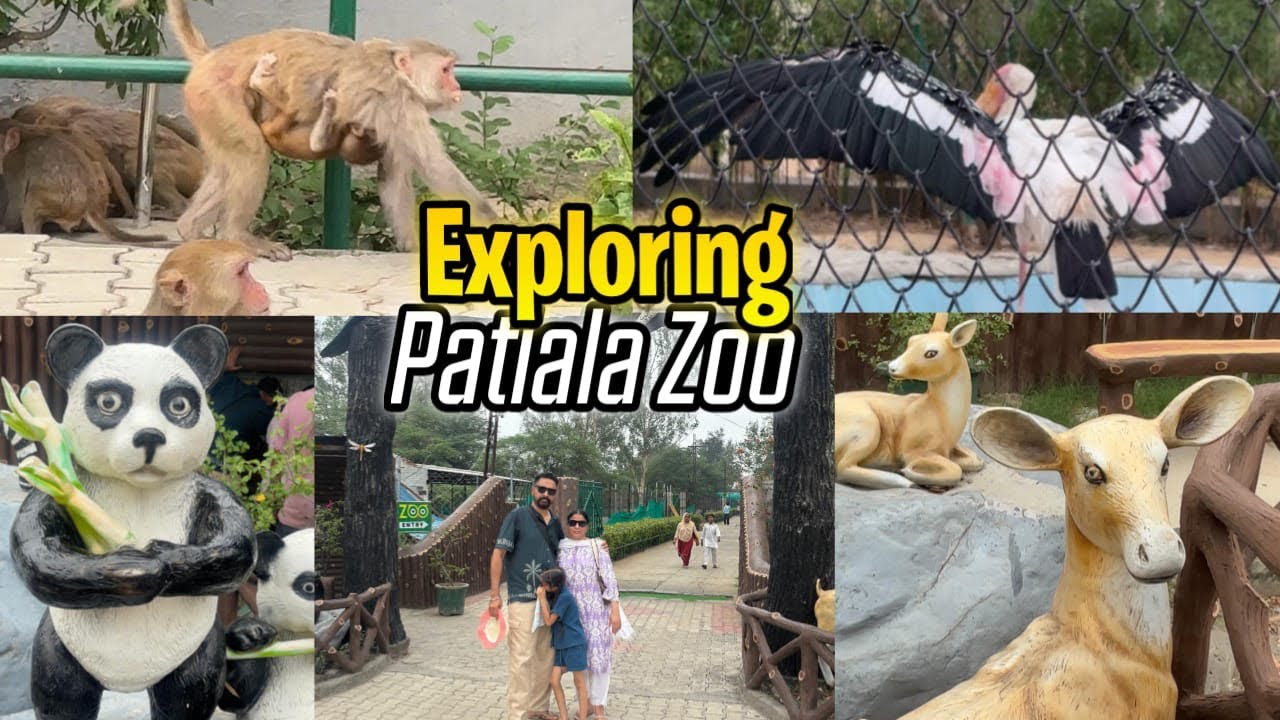 Exploring Patiala Zoo 😍 || Full Information || Roaming Rovers - YouTube