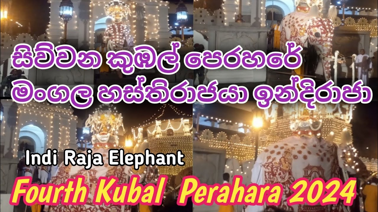 කුඹල් පෙරහරේ මංගල හස්ති රාජයා "ඉන්දි රාජා" Indi Raja Elephant || Fourth ...