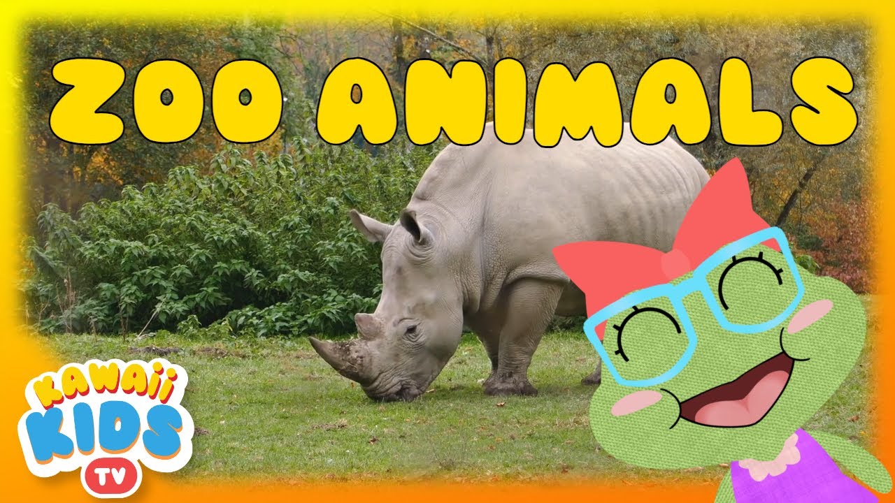 Zoo Animals Video | Learning Zoo Animals for Kids & Toddlers | Old ...