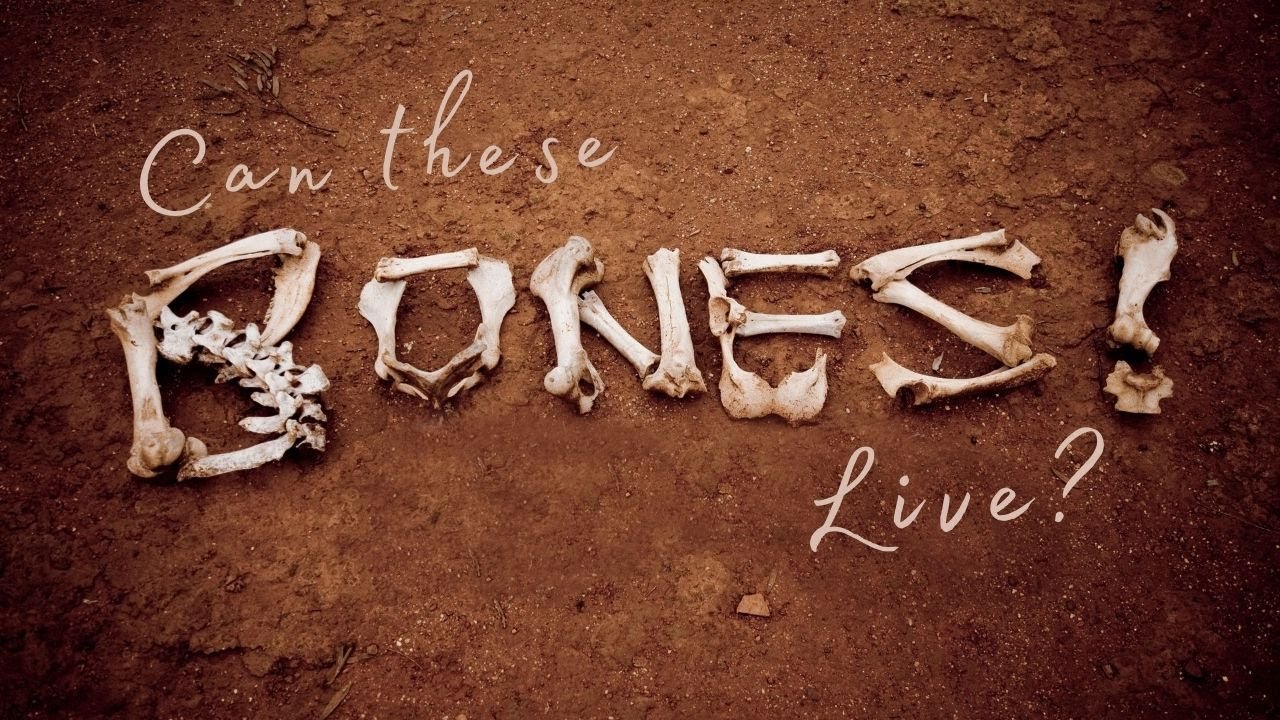 Can These Bones Live? Original - YouTube
