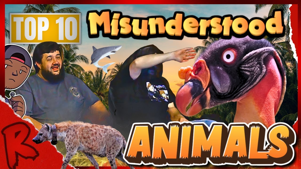 Top 10 Most Criminally Misunderstood Animals - @mndiaye_97 | RENEGADES ...