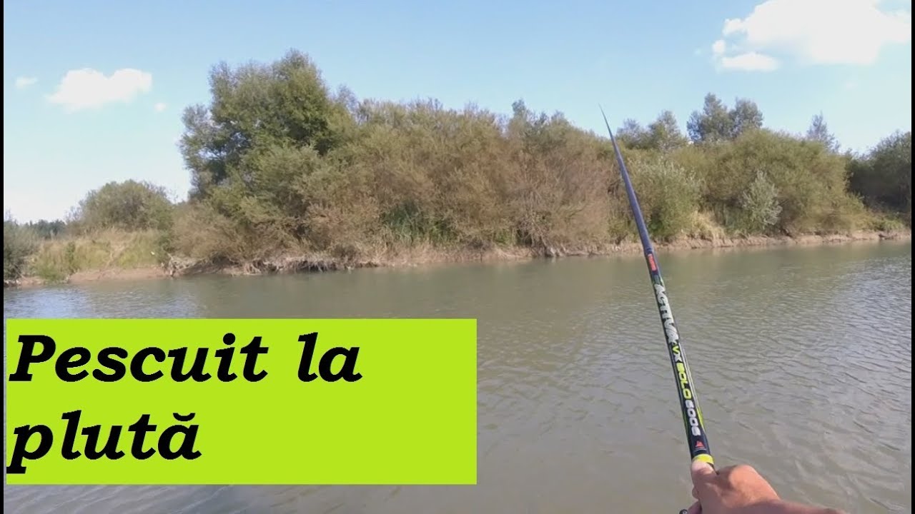 Pescuit de duminica pe raul Suceava - YouTube