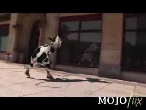 Crazy Cow - I Like to Moo